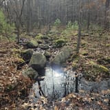 Spring Hill Yellow and Blue Loop Trail, Massachusetts - 236 Reviews ...