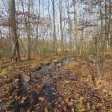 Spring Hill Yellow and Blue Loop Trail, Massachusetts - 236 Reviews ...