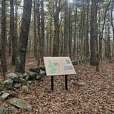Spring Hill Yellow and Blue Loop Trail, Massachusetts - 236 Reviews ...