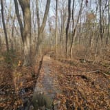 Spring Hill Yellow and Blue Loop Trail, Massachusetts - 236 Reviews ...