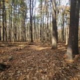 Spring Hill Yellow and Blue Loop Trail, Massachusetts - 250 Reviews ...