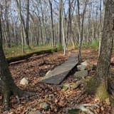 Spring Hill Yellow and Blue Loop Trail, Massachusetts - 250 Reviews ...