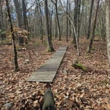 Spring Hill Yellow and Blue Loop Trail, Massachusetts - 250 Reviews ...