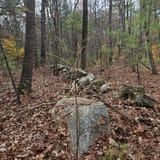 Spring Hill Yellow and Blue Loop Trail, Massachusetts - 250 Reviews ...