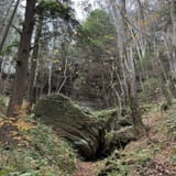 Sheick Hollow, Ohio - 140 Reviews, Map | AllTrails