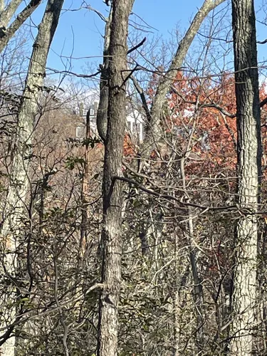 Best Hikes and Trails in Observatory Hill Trail System | AllTrails