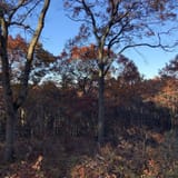 Hidden Pond Park Loop, New York - 330 Reviews, Map | AllTrails