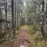 Cherry Mountain Trail, New Hampshire - 330 Reviews, Map | AllTrails