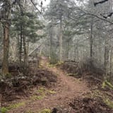 Cherry Mountain Trail, New Hampshire - 330 Reviews, Map | AllTrails