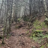 Cherry Mountain Trail, New Hampshire - 330 Reviews, Map | AllTrails