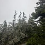 Cherry Mountain Trail, New Hampshire - 330 Reviews, Map | AllTrails