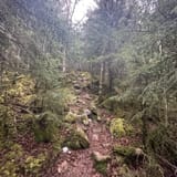 Cherry Mountain Trail, New Hampshire - 330 Reviews, Map | AllTrails
