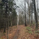 Cherry Mountain Trail, New Hampshire - 330 Reviews, Map | AllTrails