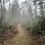 Cherry Mountain Trail, New Hampshire - 330 Reviews, Map | AllTrails