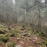 Cherry Mountain Trail, New Hampshire - 330 Reviews, Map | AllTrails