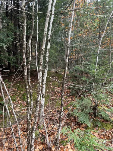 Best Hikes and Trails in Laconia | AllTrails