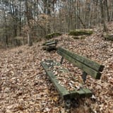 Lost Spring Trail, Tennessee - 80 Reviews, Map | AllTrails