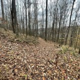 Lost Spring Trail, Tennessee - 80 Reviews, Map | AllTrails