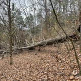 Lost Spring Trail, Tennessee - 80 Reviews, Map | AllTrails