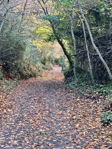 2023 Best Trail Running Trails in Phoenix Park | AllTrails