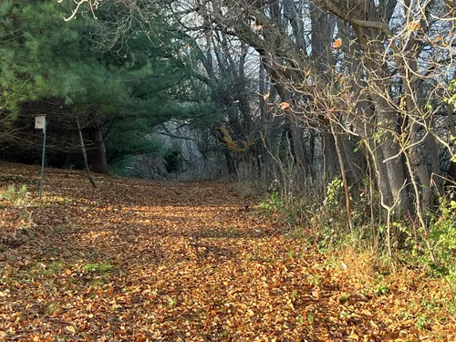 Best Hikes and Trails in Natural Lands' Binky Lee Preserve | AllTrails