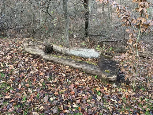 Best Hikes and Trails in Natural Lands' Binky Lee Preserve | AllTrails