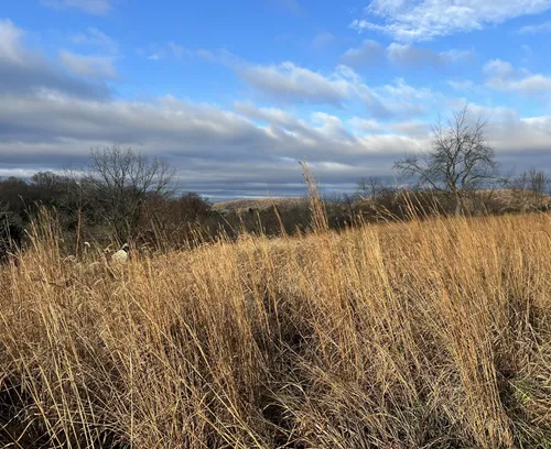 Best Hikes and Trails in Natural Lands' Binky Lee Preserve | AllTrails