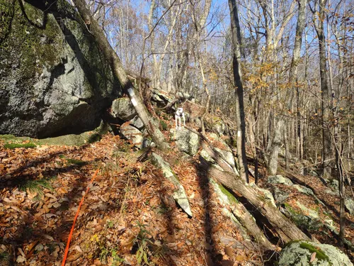 Best Hikes and Trails in The Rock Lot / Scott Preserve | AllTrails