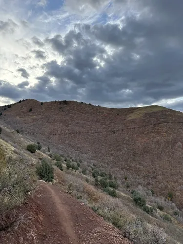 Best Lake Trails in Bonanza Flat Conservation Area | AllTrails