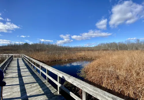 Best Hikes and Trails in Huckleberry Swamp Park | AllTrails