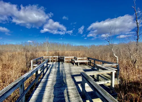 Best Hikes and Trails in Huckleberry Swamp Park | AllTrails