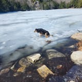 Inman Pond Trail, New York - 310 Reviews, Map | AllTrails