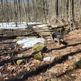 Inman Pond Trail, New York - 310 Reviews, Map | AllTrails