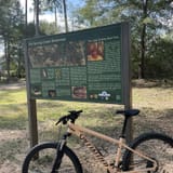 Spring Creek Greenway Trail, Texas - 1,092 Reviews, Map | AllTrails