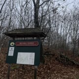 Red Hill Fire Tower Loop Trail, New Hampshire - 1,331 Reviews, Map ...