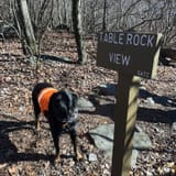 Table Rock View, Pennsylvania - 935 Reviews, Map | AllTrails