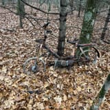 Cumberland Monastery Trail, Rhode Island - 1,894 Reviews, Map | AllTrails