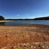 Lake Blue Ridge Loop , Georgia - 803 Reviews, Map | AllTrails