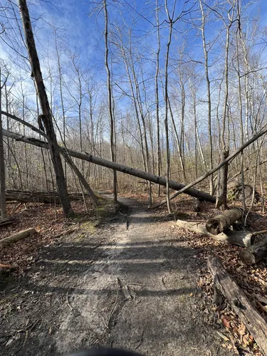 Best Hikes and Trails in Clay Cliffs Natural Area | AllTrails