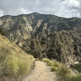 Altadena Crest Trail, California - 662 Reviews, Map | AllTrails