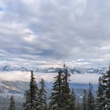 Mount Catherine (#1348), Washington - 783 Reviews, Map | AllTrails