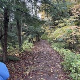 Chestnut Ridge Reservoir Trail, New York - 130 Reviews, Map | AllTrails