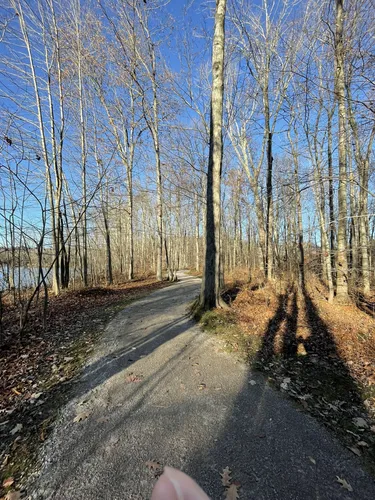 Best Hikes and Trails in Hell Hollow Wilderness Area | AllTrails