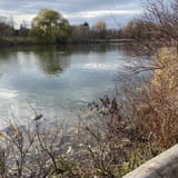 Toogood Pond Loop, Ontario, Canada - 532 Reviews, Map | AllTrails