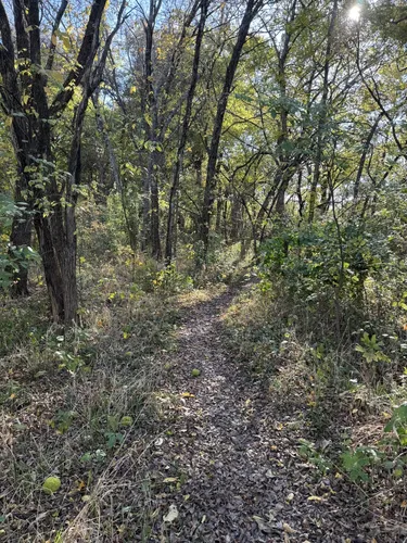 Best Hikes and Trails in Rowlett Creek Preserve | AllTrails