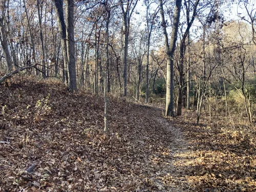 Best Hikes and Trails in Lion's Lake/ Culp Park | AllTrails