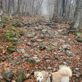Haystack Mountain Trail, Vermont - 1,911 Reviews, Map | AllTrails