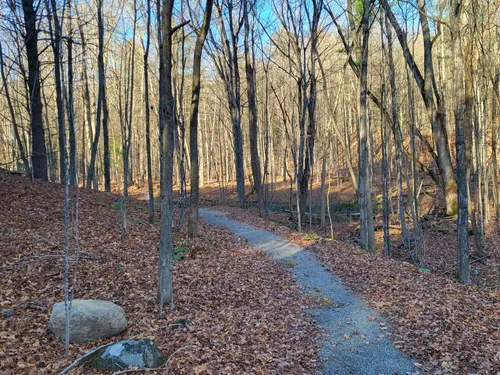 Best Views Trails in Athens | AllTrails