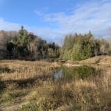 Heber Down Conservation Area Trail, Ontario, Canada - 633 Reviews, Map ...