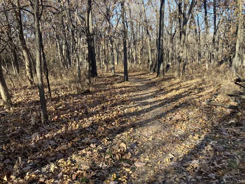 Best Hikes and Trails in Lion's Lake/ Culp Park | AllTrails
